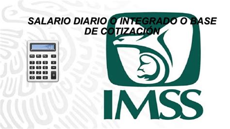 Salario Minimo 2024 Integrado Imss Image To U