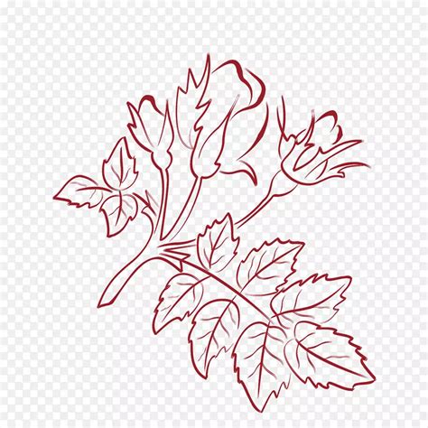 Png Png