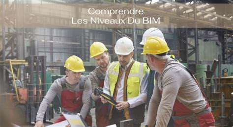 Comprendre les niveaux du BIM F3DF Intégrateur Autodesk