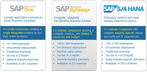 difference between sap business one and sap erp businesser