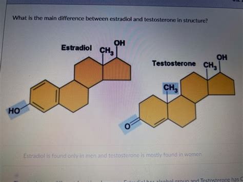Biology Final Exam Part 1 Flashcards Quizlet