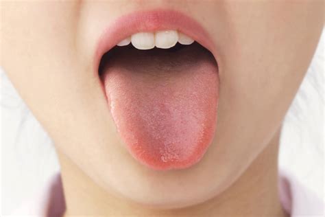 きちんとできていますか口内ケアの正しい仕方 Myreco マイリコ Free Download Nude Photo Gallery