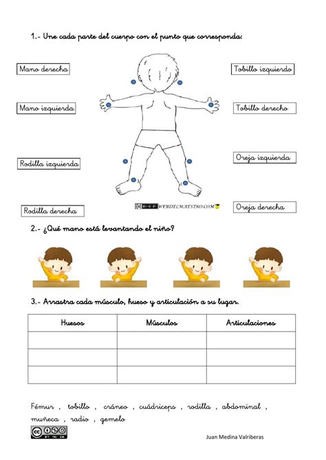 Ejercicio De Esquema Corporal Y Lateralidad Artofit