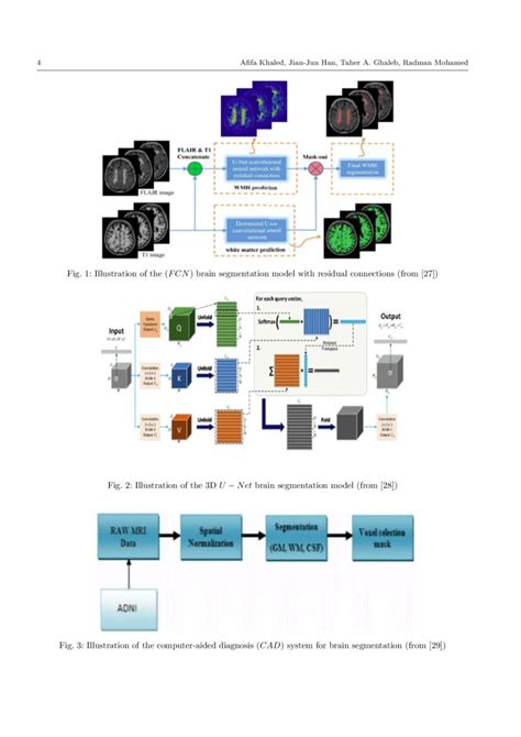 fully convolutional neural network for improved brain segmentation deepai