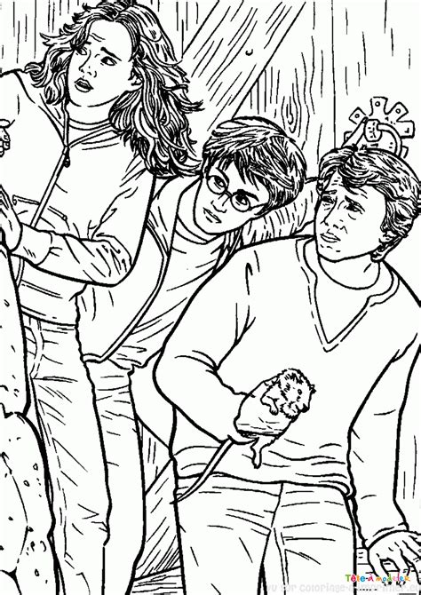 Coloriage d Harry Potter avec Ron et Hermione Tête à modeler