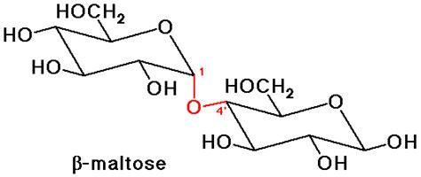 Beta Maltose Structure