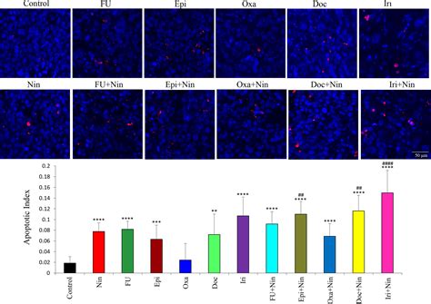 Frontiers Enhancing Gastric Cancer Conventional Chemotherapy Effects