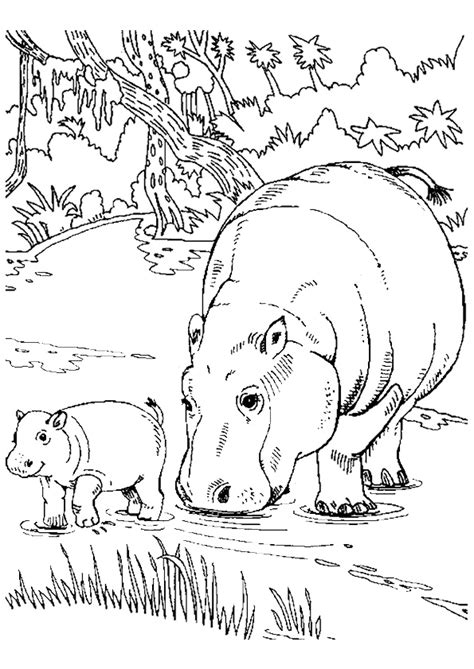 15 Unique De Animaux Savane Dessin Photographie Coloriage Coloriage