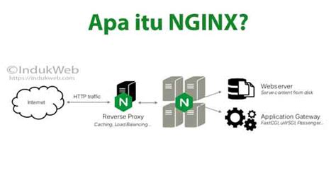 Apa Itu Nginx Fungsi Cara Kerja Dan Kelebihannya Buickcafe