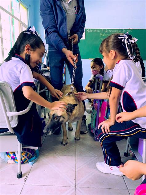 LA WÜERA RECORRE ESCUELAS PARA CONCIENTIZAR SOBRE MALTRATO ANIMAL