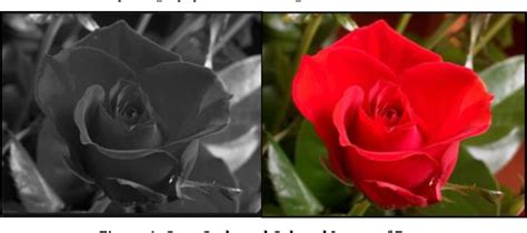 figure 1 from an efficient convolutional neural network based image colorization technique