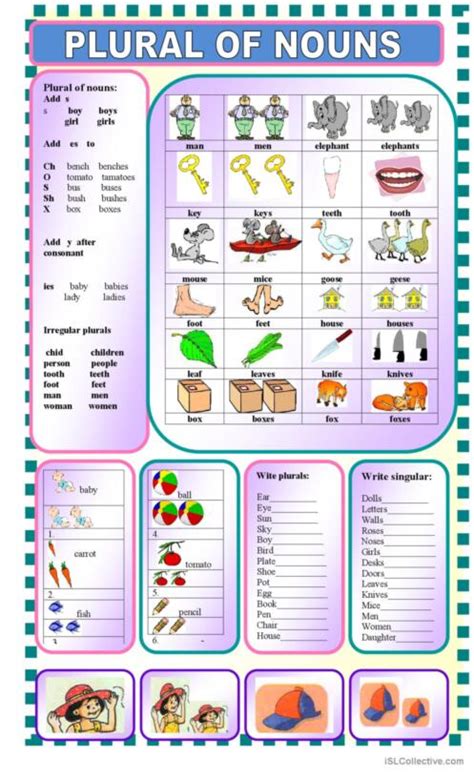 504 Plurals English ESL Worksheets Pdf Doc