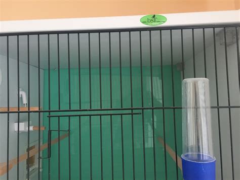 Satılık 5 Katlı 10 Gözlü BST Otomatik Üretim Kafesi Muhabbet Kuşu Forumu