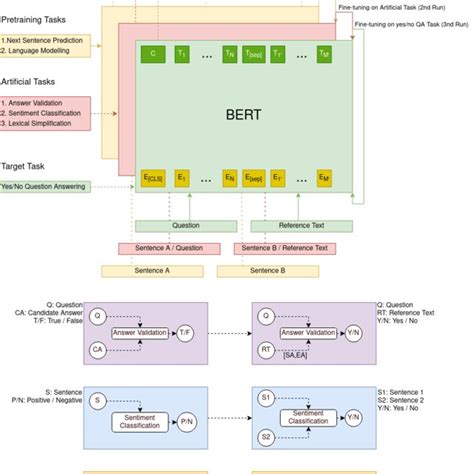 visualizing the fine tuning process on a pre trained