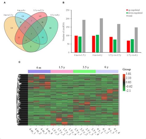 Summary Of CircRNA Differential Expression Analysis A The Venn