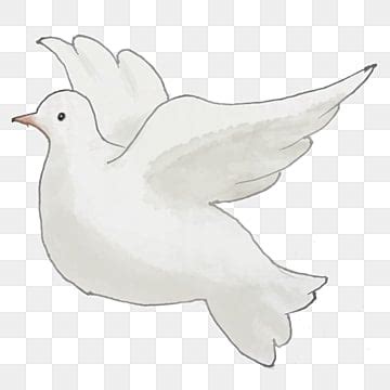 Peace Dove Hd Transparent Peace Dove White Dove Wings White Dove