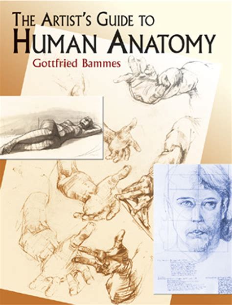 Mua The Artist S Guide To Human Anatomy Dover Anatomy For Artists