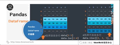 Python Data Analysis Pandas Core Operating Functions