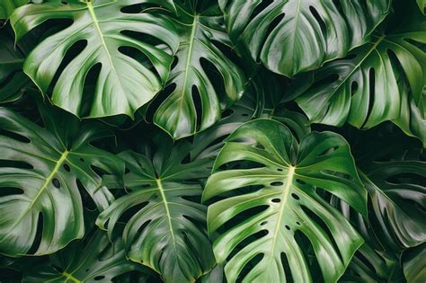 Premium Photo Transform Your Living Room With Stunning Tropical
