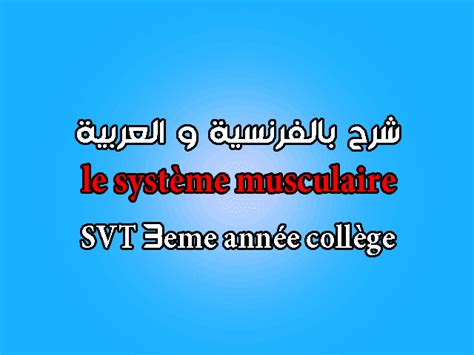 le système musculaire svt 3ème année collège PDF