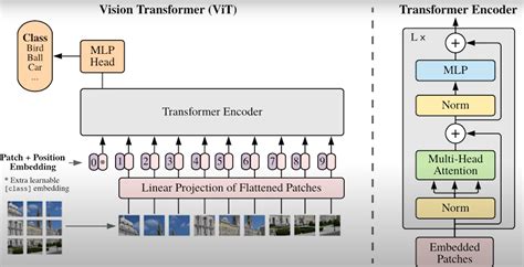 vision transformer 简单代码学习 知乎