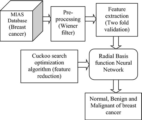 block diagram of optimized rbnn for breast cancer classification download scientific diagram