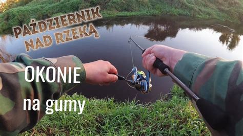 OKONIE z małej rzeki Łowię okonie na GUMY Październik 2021 YouTube