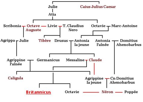 R Sultat De Recherche D Images Pour Arbre G N Alogique Britannicus