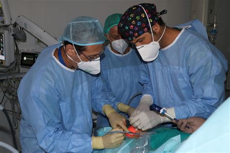 Estudian la implantación de la cirugía laparoscópica en cáncer de