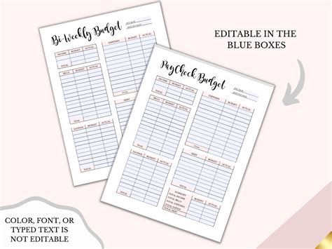 Printable Paycheck Budget Bi Weekly Budget Overview Template Budget