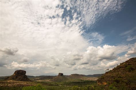 Desmatamento No Cerrado Emitiu Bi De Gases Do Efeito Estufa Em
