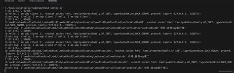 python3套接字编程之socket和socketserver（tcp和udp通信） python socketserver csdn博客