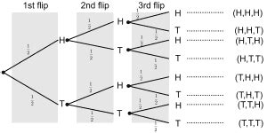 Coin Flip Probability Explanation Examples