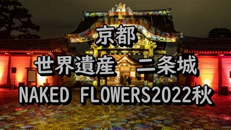 京都 世界遺産 二条城プロジェクションマッピング NAKED FLOWERS 2022 YouTube