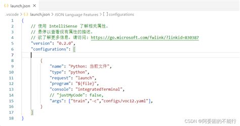 【python】vscode带参数调试 vscode添加参数调试 csdn博客