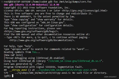vs code windows wsl 体验 linux 开发 用gdb调试c程序的core dump 使用vs来开发linux程序 csdn博客