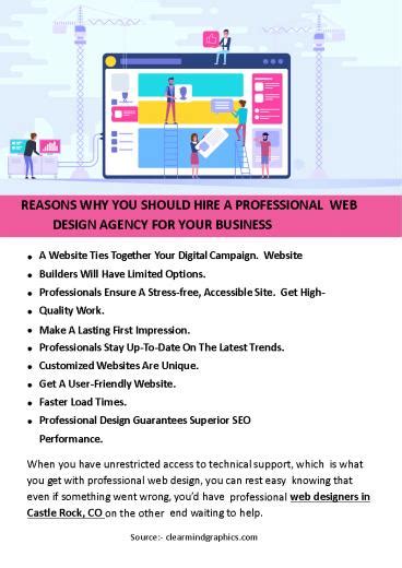 PPT REASONS WHY YOU SHOULD HIRE A PROFESSIONAL WEB DESIGN AGENCY