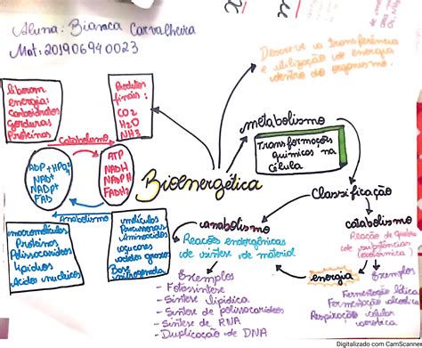 mapa mental bioenergia Bioquímica I