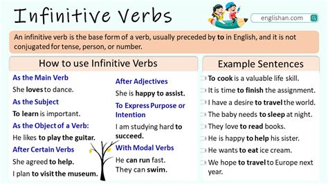 Infinitive Verbs In English With Examples Englishan