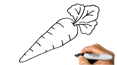 How To DRAW A CARROT Easy Step By Step Drawing For Beginners YouTube
