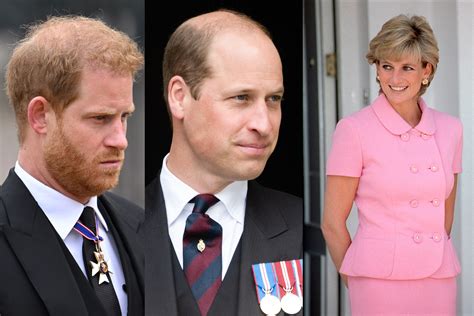 Prince Harry Slams William S Alarming Baldness Lack Of Diana