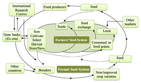 Promoting food security for farming communities Voilà
