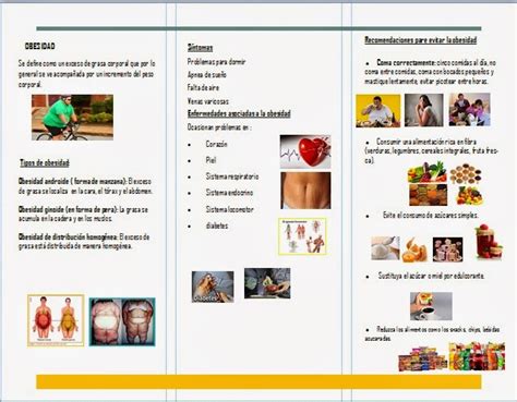 Nutricion Obesidad Sandrasandoval Triptico Obesidad Castella
