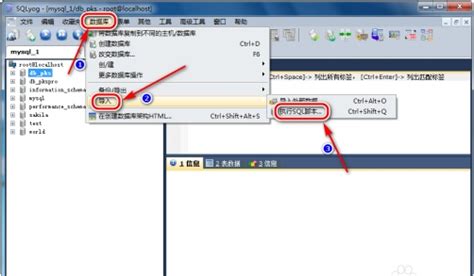 sql developer创导入dmp文件 sqlyog的导入和导出 csdn博客
