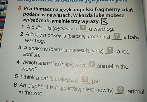 Przetlumacz Na Jezyk Angielski Fragmenty Zdan Podane W Nawiasach W