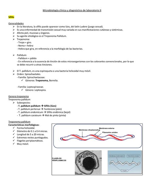 Sífilis en microbiología Microbiología clínica y diagnóstico de