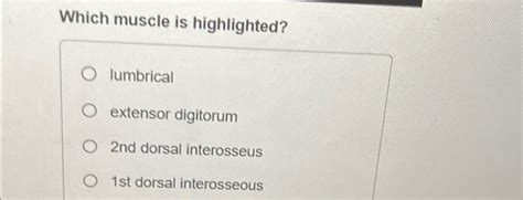 Solved Which Muscle Is Highlighted Lumbricalextensor Chegg