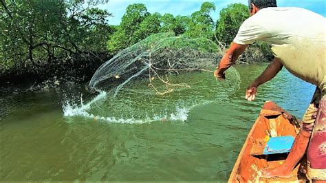 Pesca De Tarrafa Pega Quais Peixes Regras Dicas De Pesca E