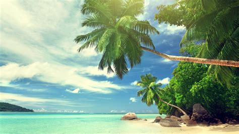 Wallpaper Fond Ecran Plage Paradisiaque Se Imgsrc Ru The Best Porn