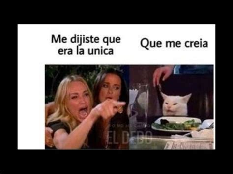 Cuál es el origen del meme del gato y la mujer que le reclama